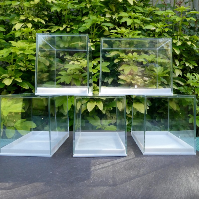Perspex Boxes - Etsy UK