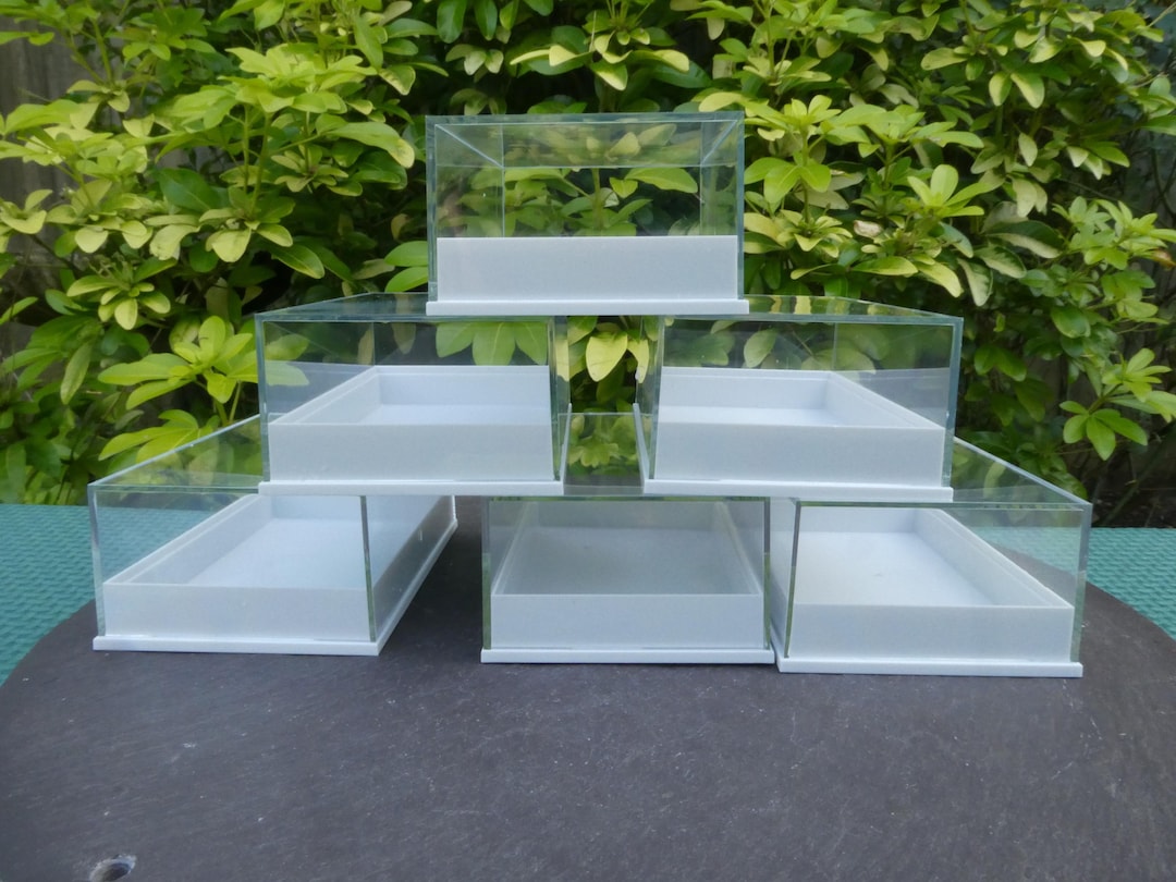 12 Perspex Clear Lid Specimen Display Boxes Shell Minerals Gems ...