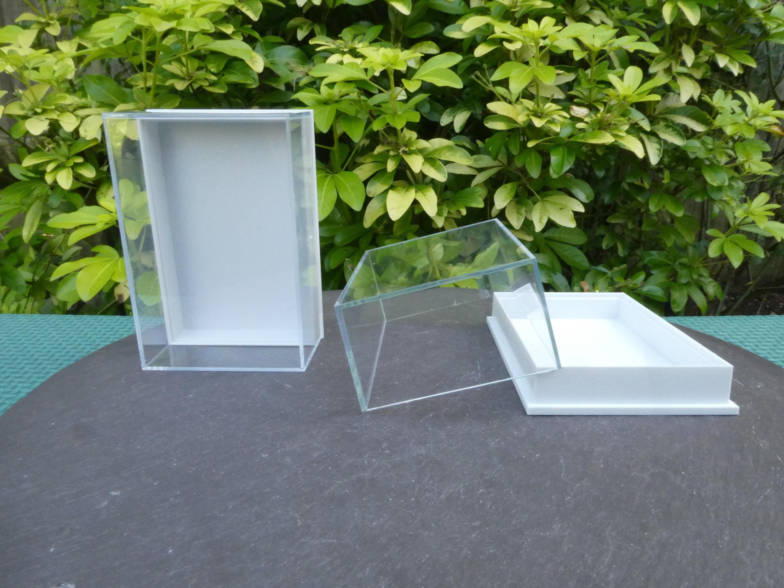 12 Perspex Clear Lid Specimen Display Boxes Shell Minerals Gems ...