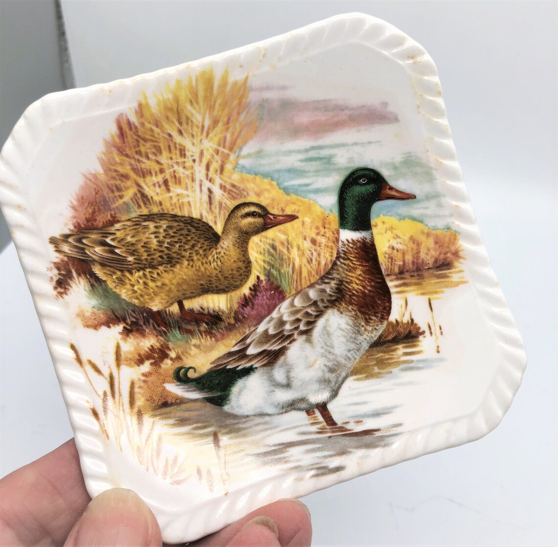 Royal Adderley Floral Bone China Made in England Coasters - Etsy