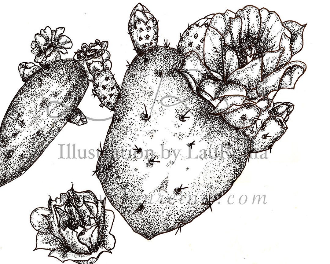 Prickly Pear - Illustration - Giclee Print - Etsy