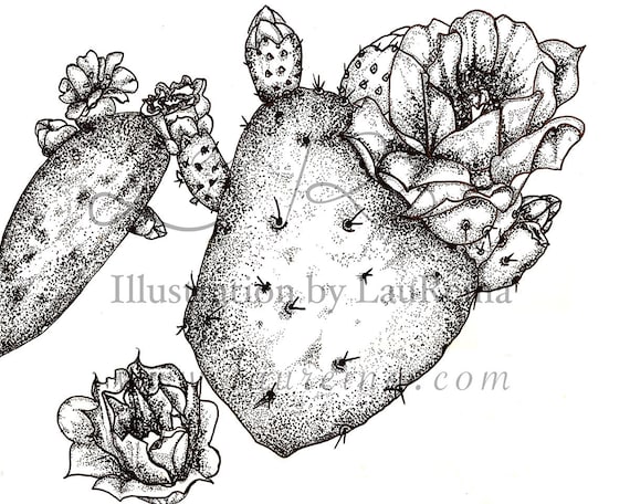 Prickly Pear Illustration Giclee Print | Etsy