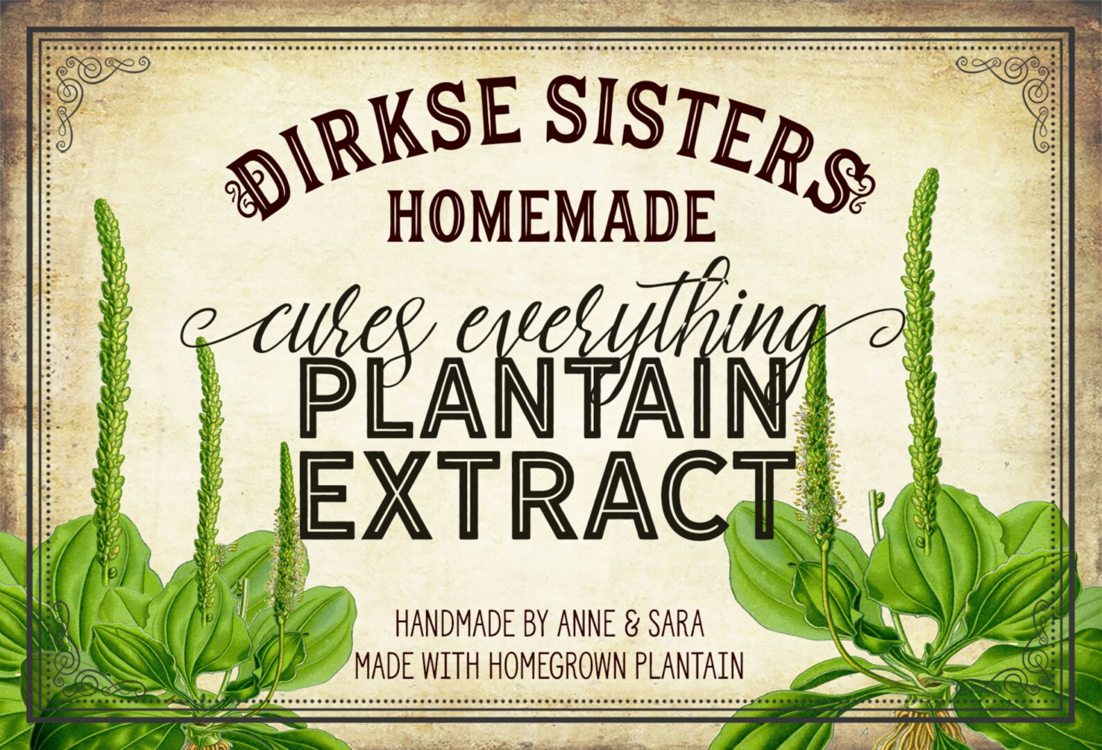 Customized Label Homemade Plantain Tincture Plantain | Etsy