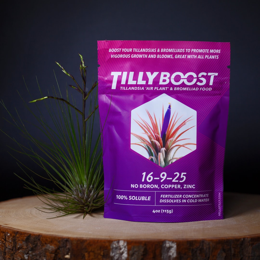 Tilly Boost 4oz | Tillandsia & Bromeliad Food | Air Plant Fertilizer ...
