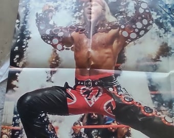 Shawn Michaels Poster - Etsy