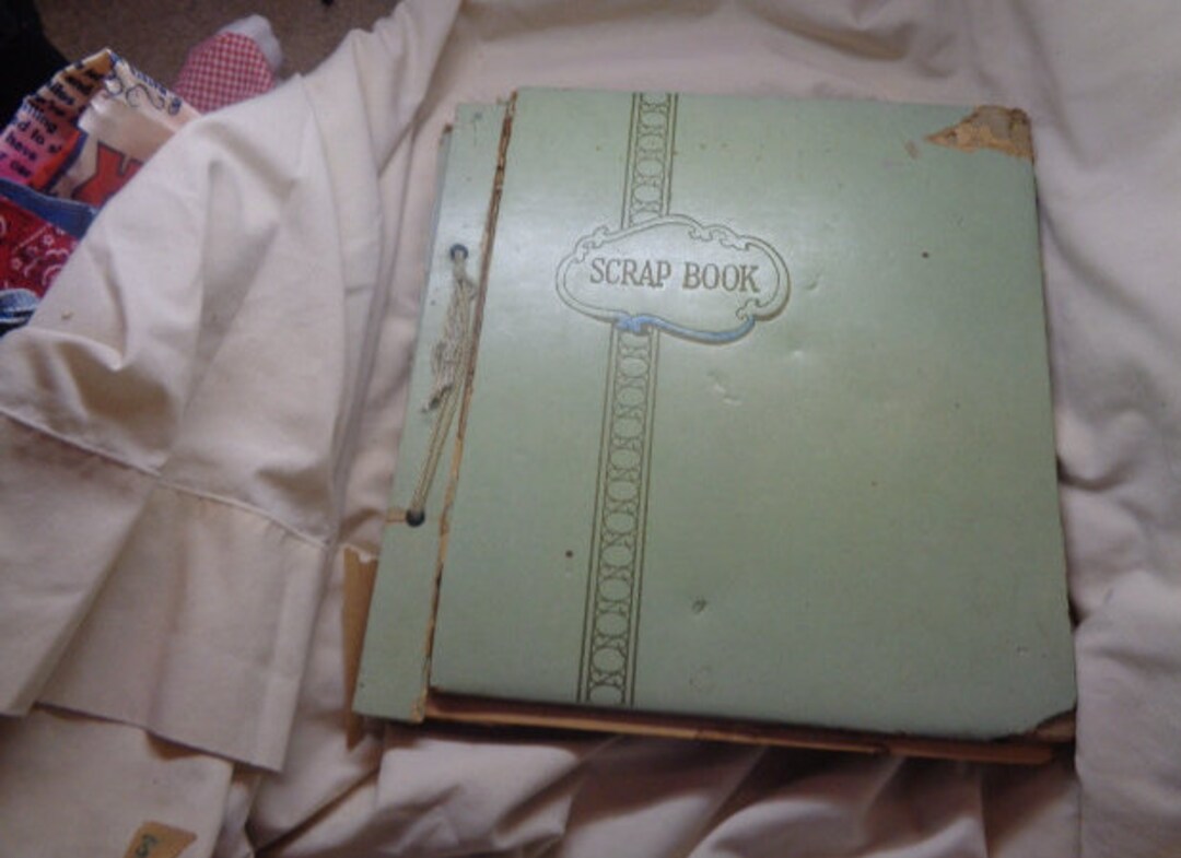 1960s Vintage Scrapbook of Press Clippings Lynda Bird Johnson/ Lee ...