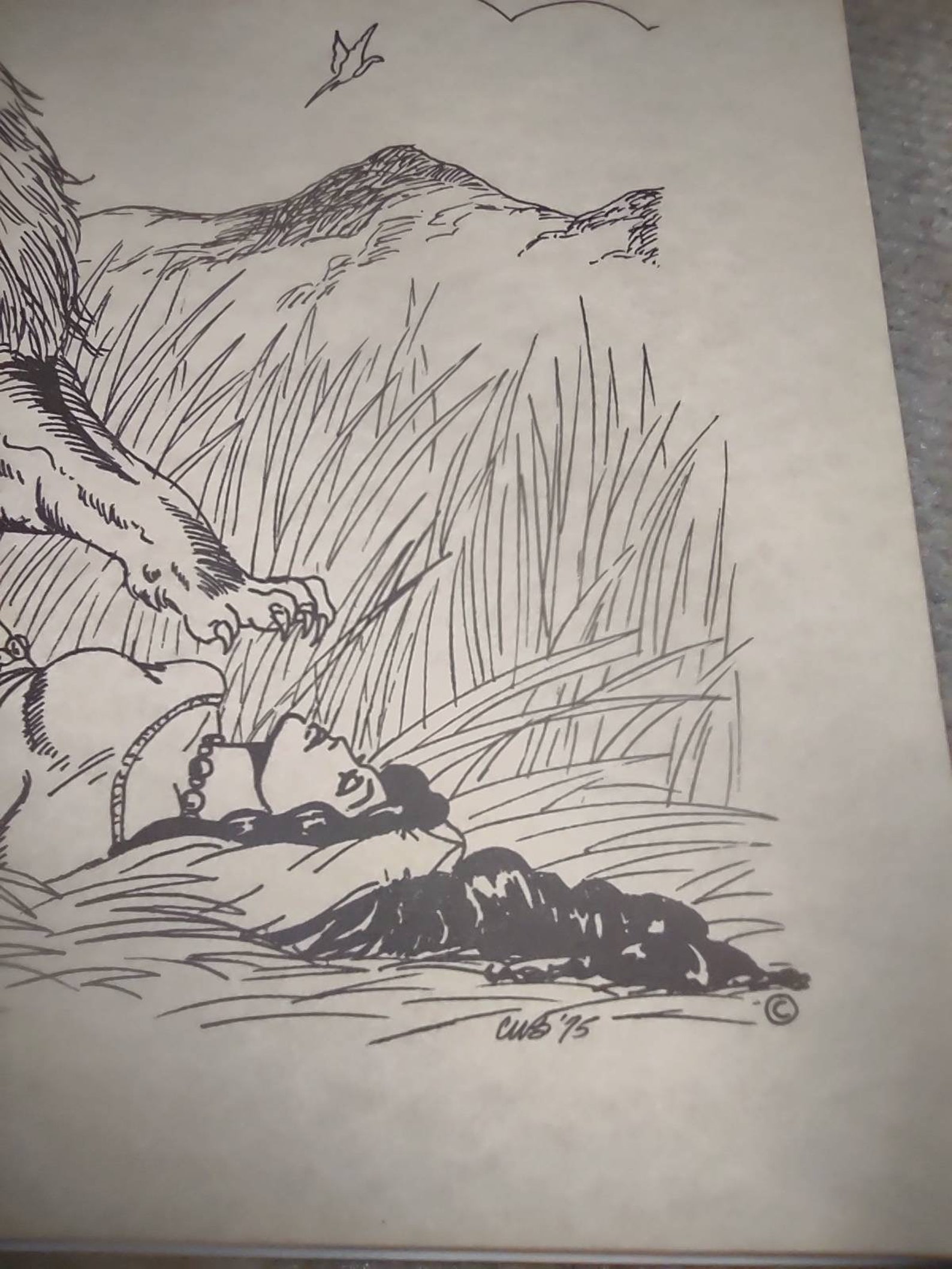 Tarzan and Lion Frank Frazetta Art Original Wall Decor Picture Number ...