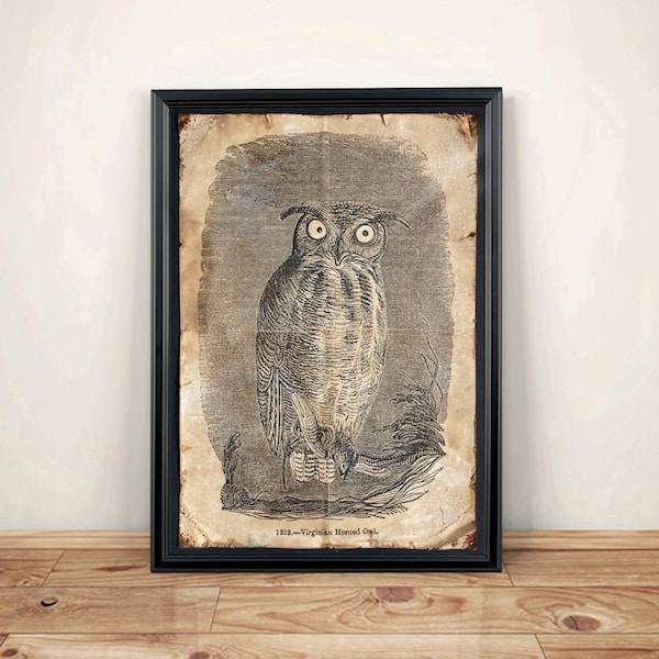 Owl Drawing - Etsy
