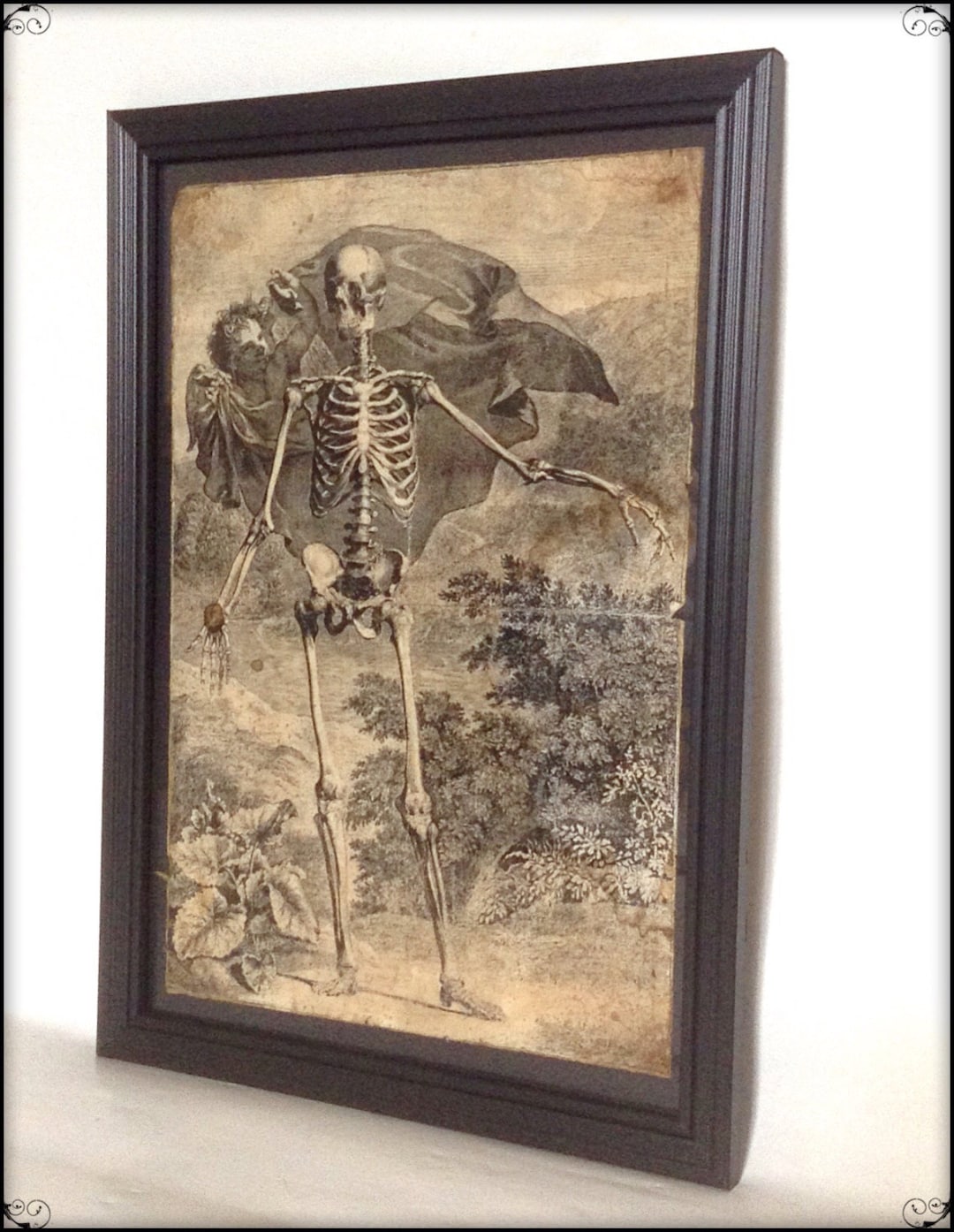 Victorian Skeleton Illustration - Art Print A4 Size. Hand Aged ...