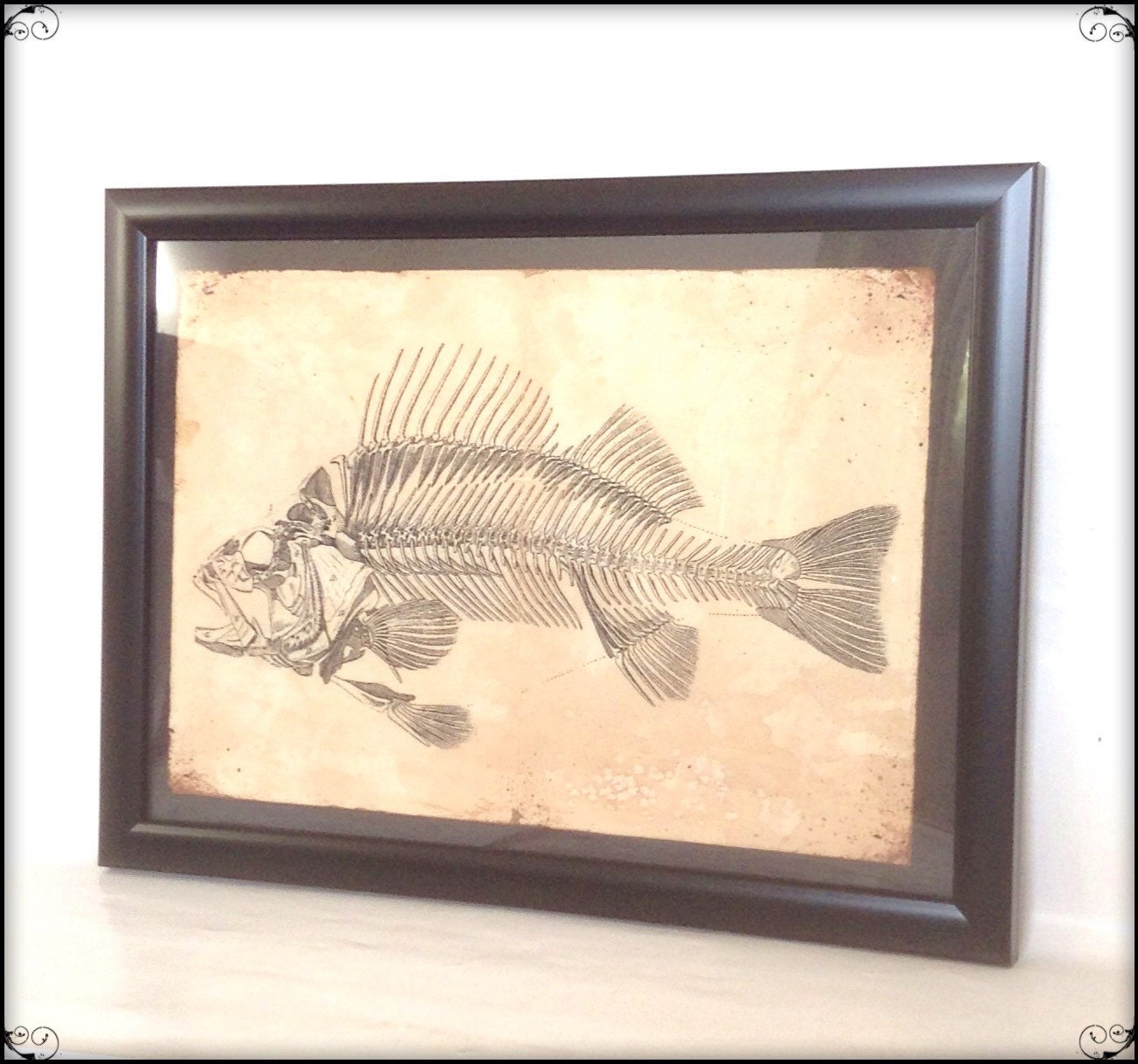 Hand Aged Reproduction Victorian Fish Skeleton Illustration Art Print ...