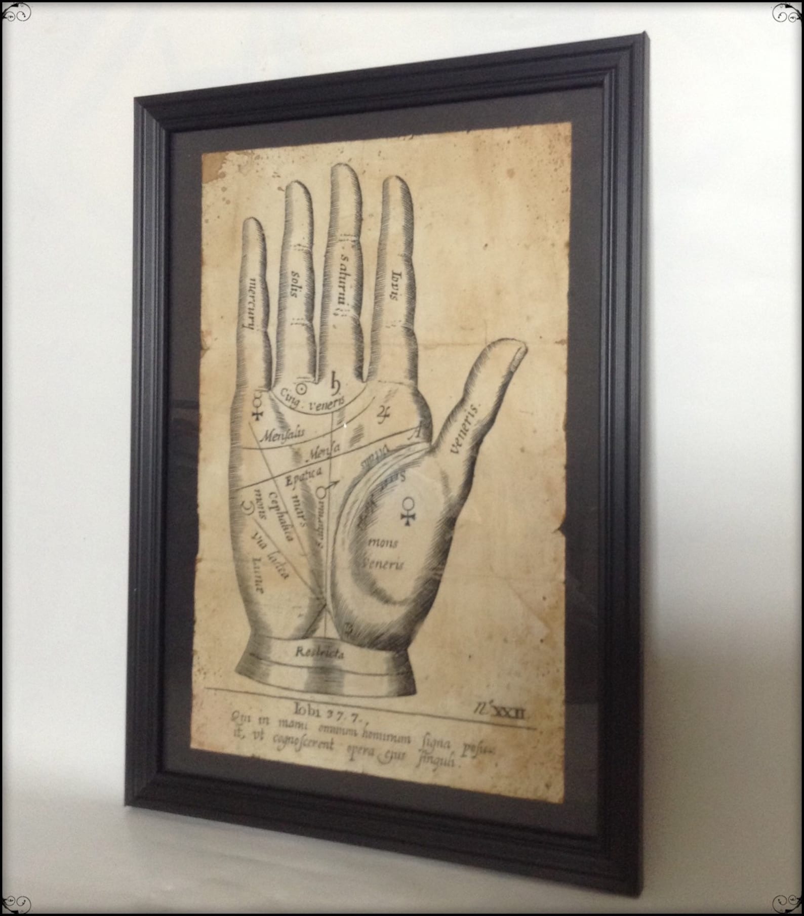 Palmistry Hand Aged Reproduction Print A4 Size. | Etsy