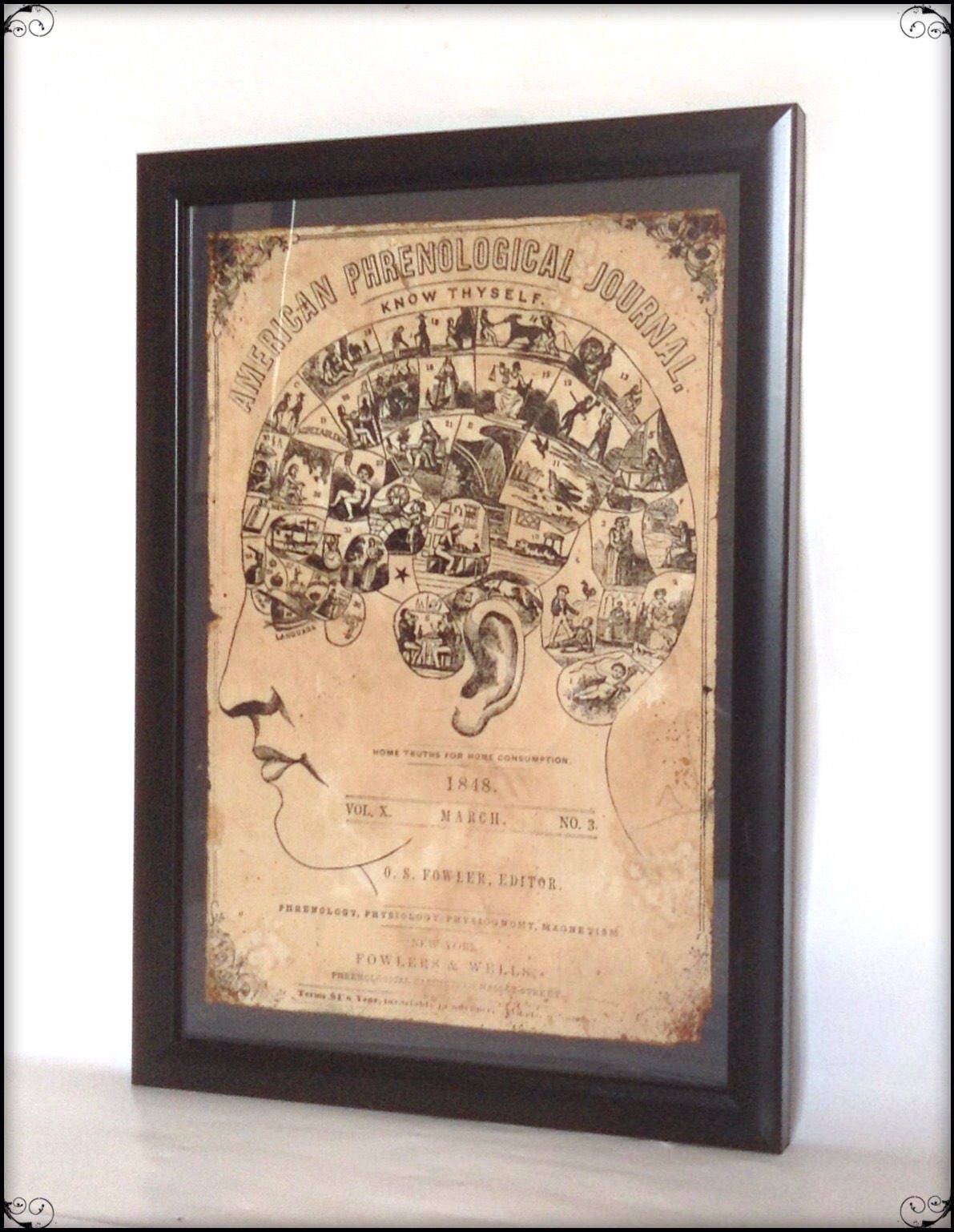 Aged Reproduction Cover From the American Phrenology Journal - Etsy