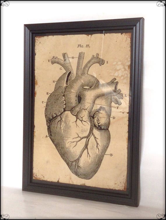 Medical Clip Art Victorian