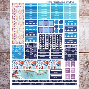 Winter, Birds, Snow, Printable Planner Stickers, Weekly Kit for Use ...