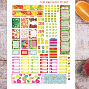 Fruit Mini Planner Stickers Printable,fruit Mini Monthly Happy Planner ...