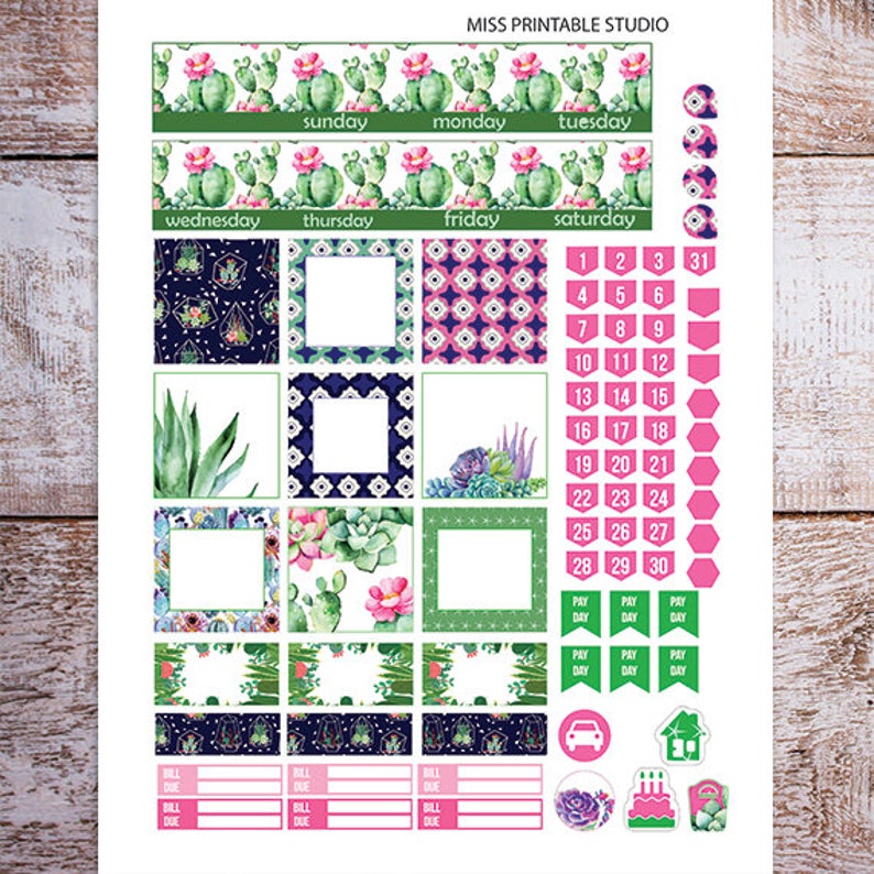 Cactus Succulents Monthly Kit Planner Stickers Printable - Etsy