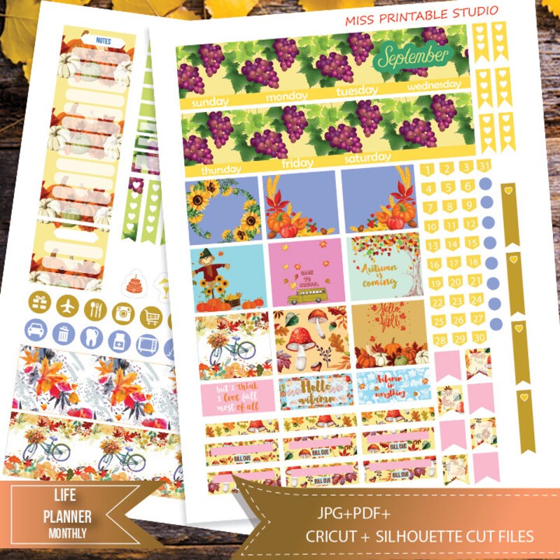 MissPrintableStudio - Etsy