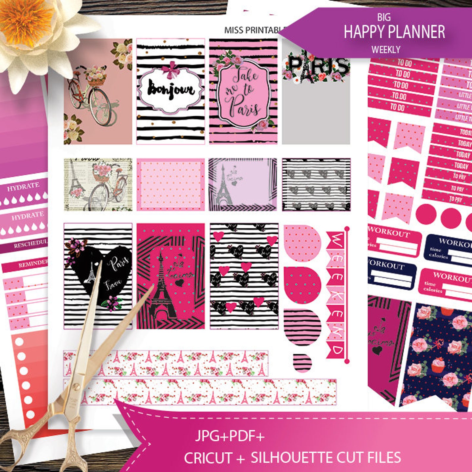 Paris Printable Planner Stickers paris Flowers Kit BIG MAMBI - Etsy