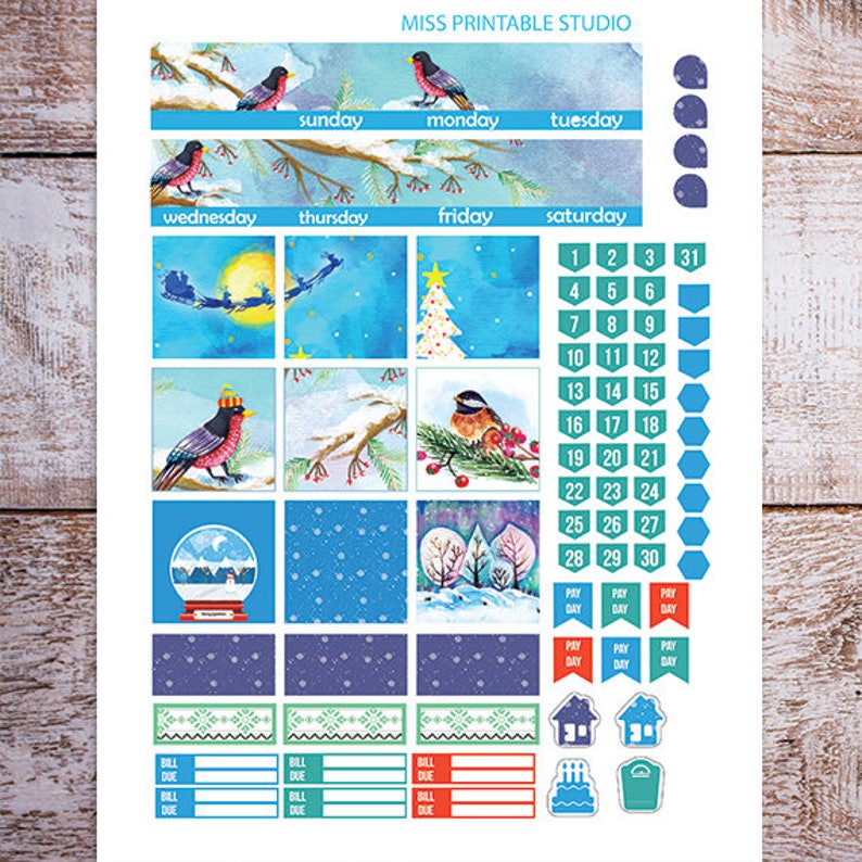 Winter Birds Snow Monthly Kit Planner Stickers Printable - Etsy