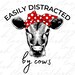 Cow Png, Easily Distracted by Cows, Easily Distracted Png, Cow ...