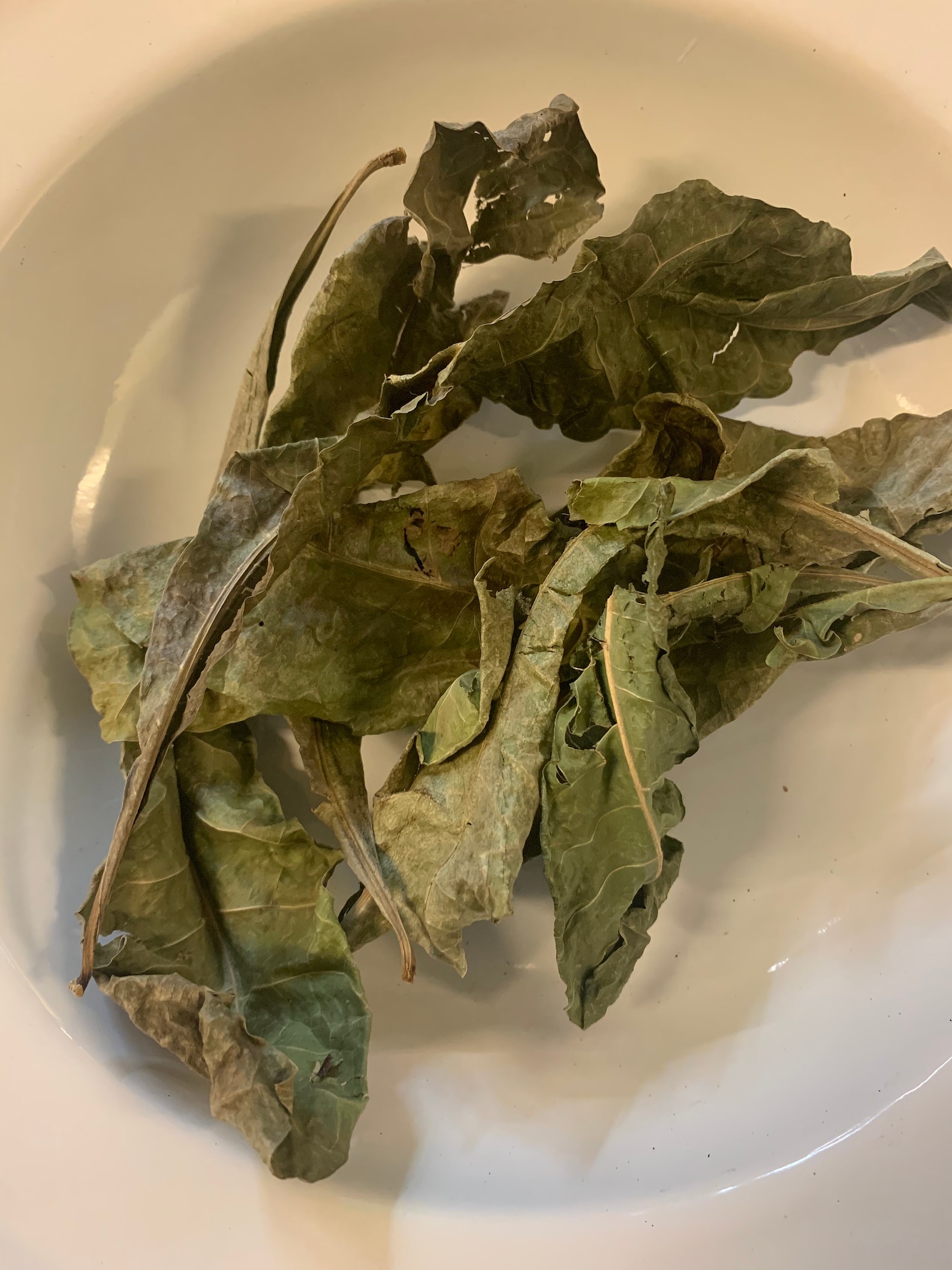 Fèy (haitian Herbs) - Etsy