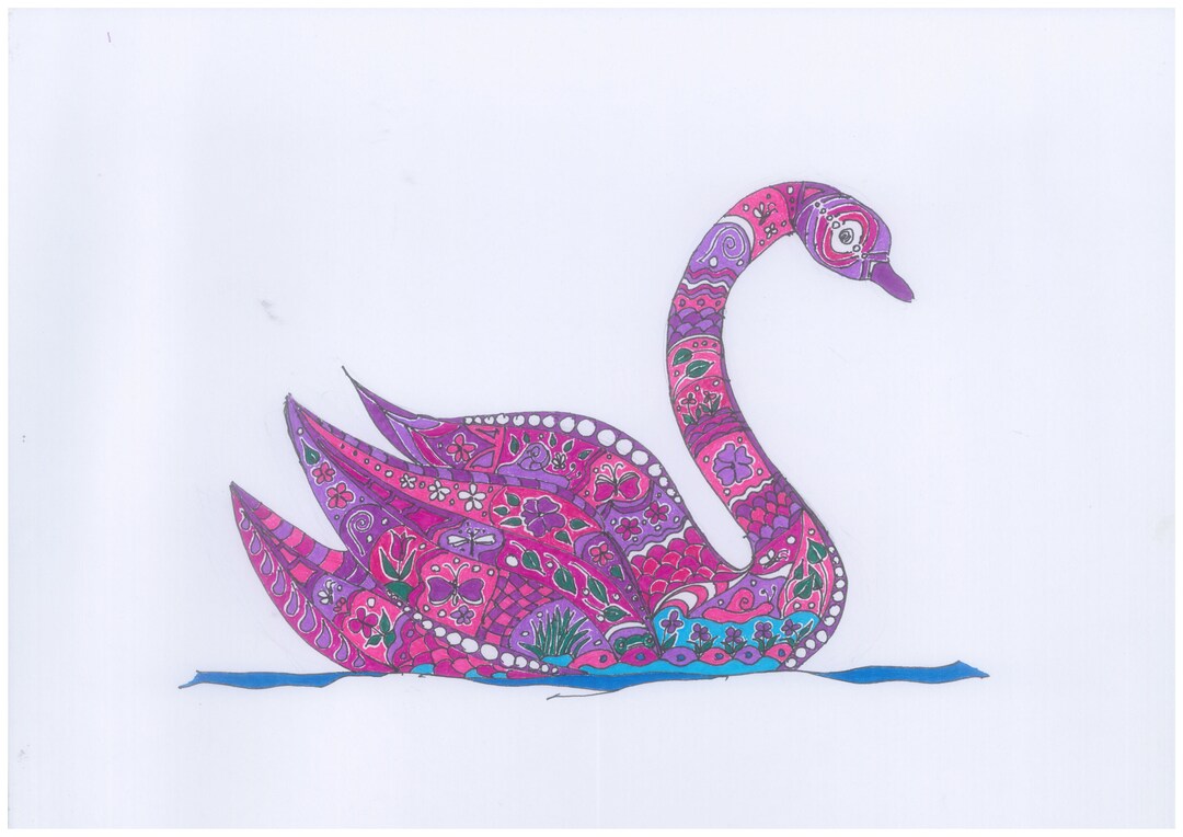 Swan Pen & Ink Drawing - Etsy