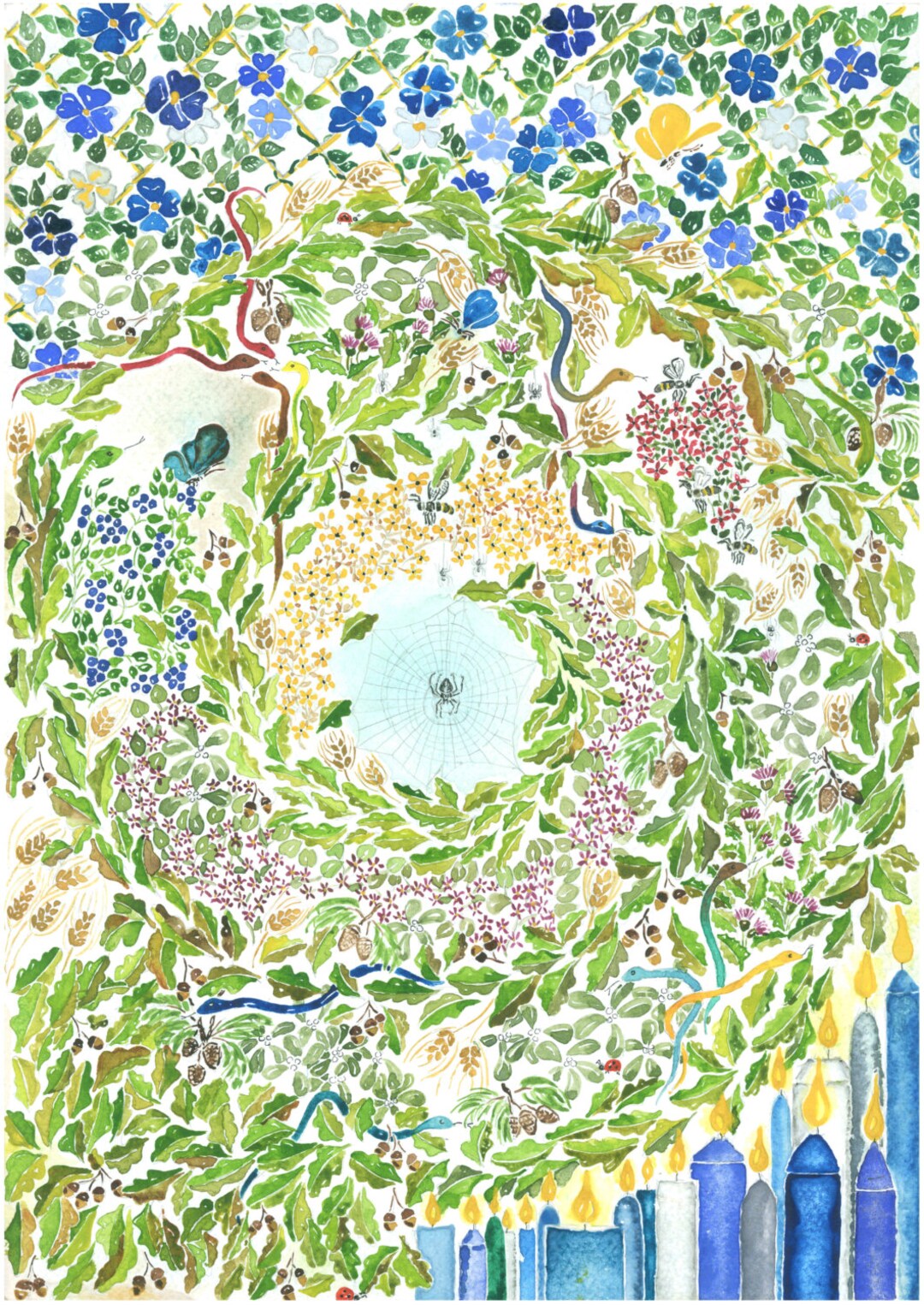 Spiral Spider Ecosystem - Etsy