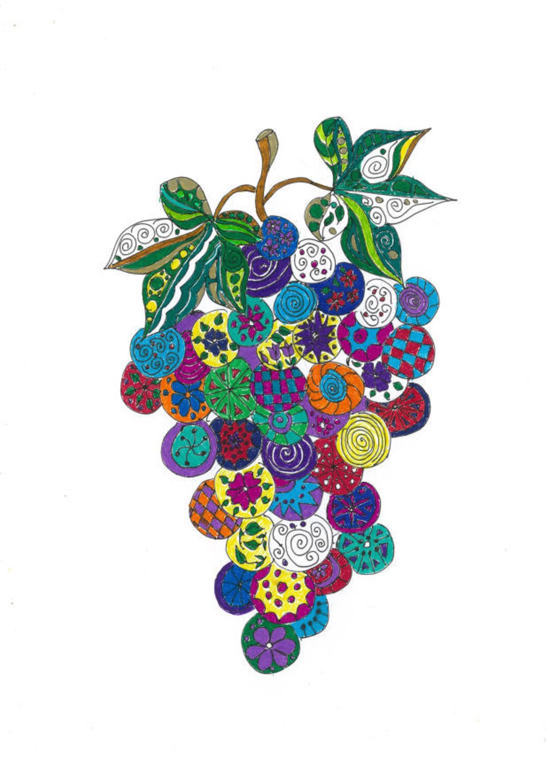 Bunch of Grapes Pen & Ink Drawing - Etsy