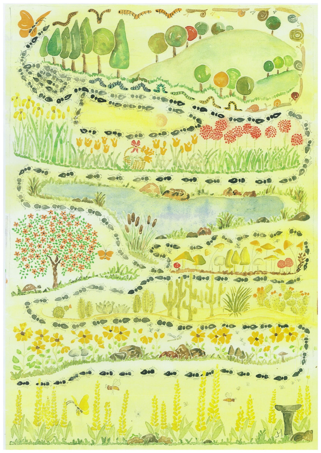 Ant Migration Ecosystem - Etsy