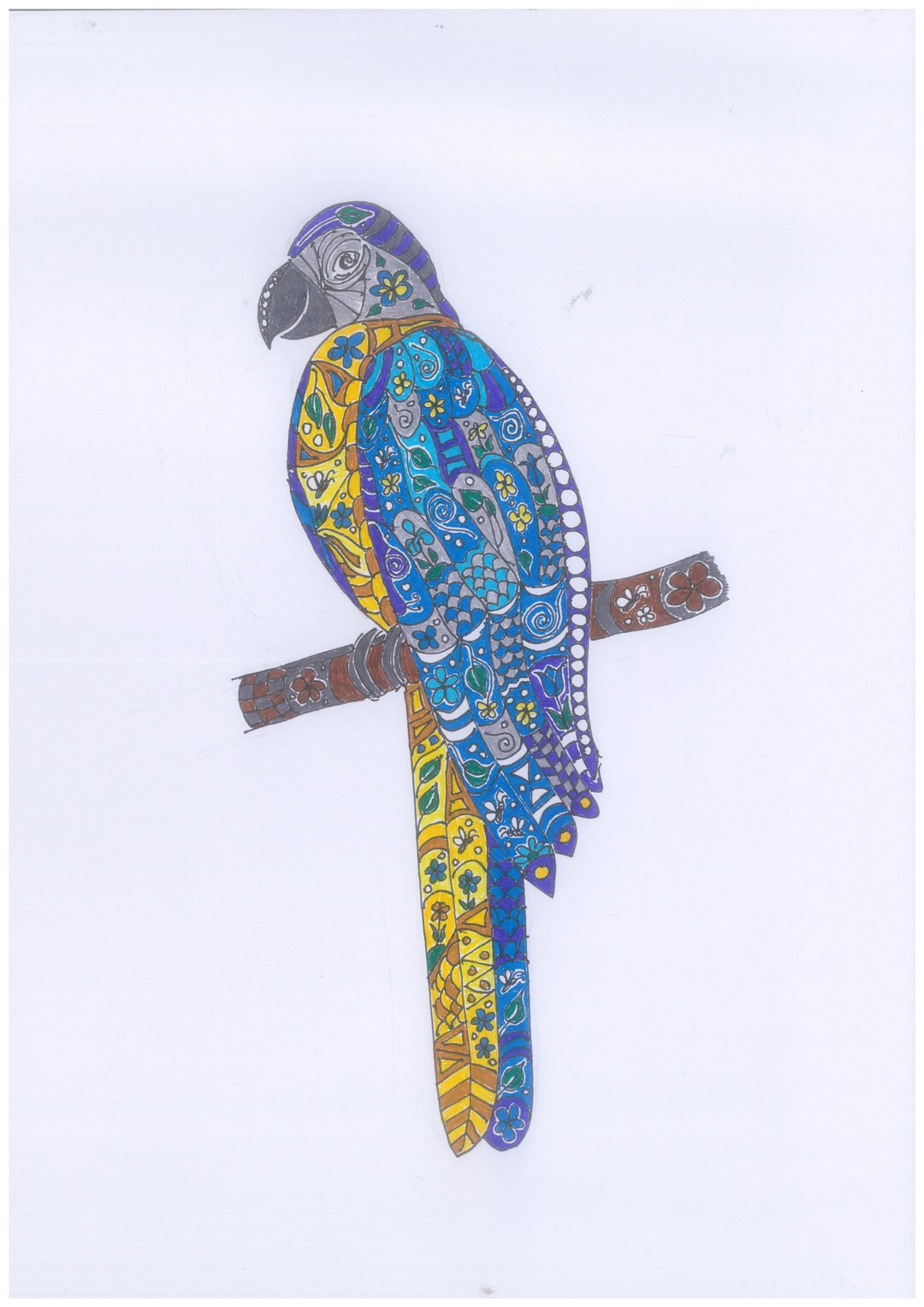 Macaw Pen & Ink Drawing - Etsy
