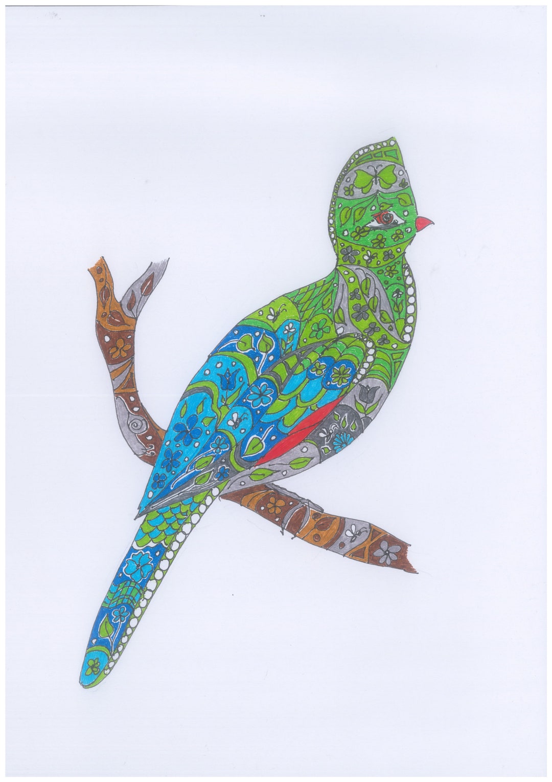 Loerie Pen & Ink Drawing - Etsy