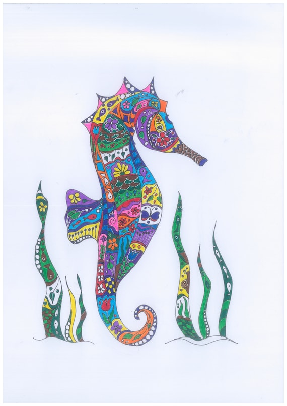 Seahorse Pen & Ink Drawing - Etsy