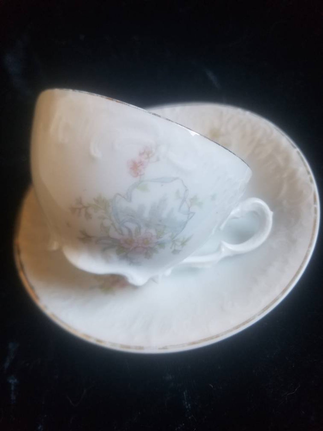 Furstenberg Brunswick Germany Floral Design Teacup and Saucer With ...