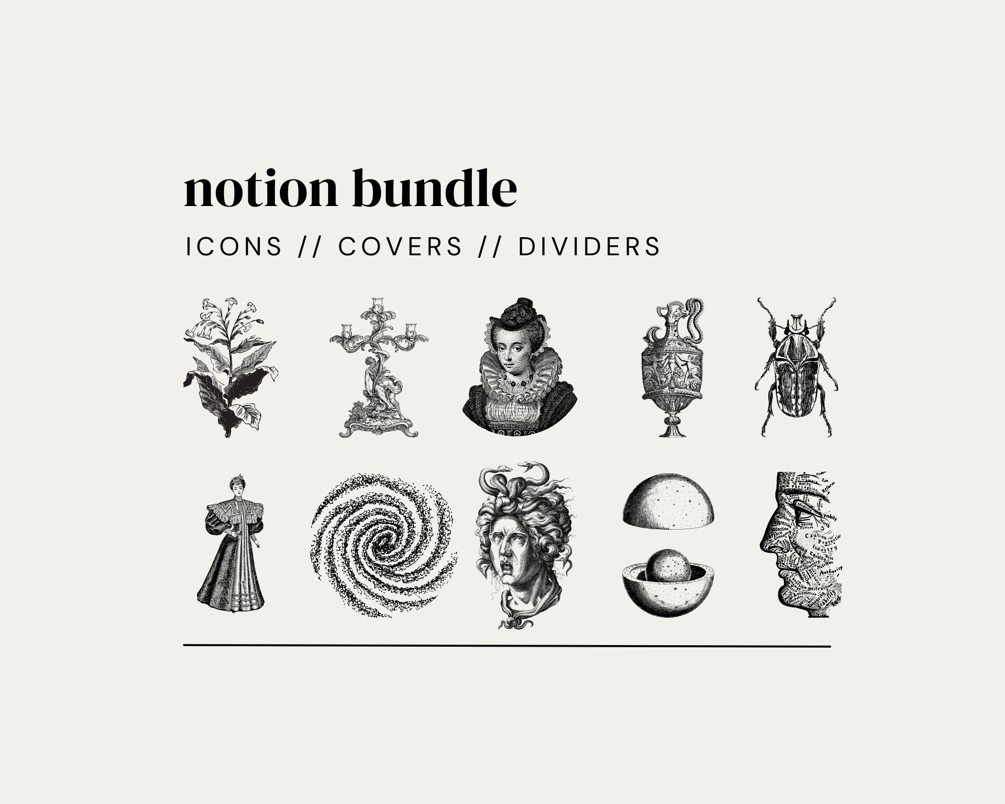 Notion Bundle: Ornate Vintage Illustrations Icon Collection // Goth ...