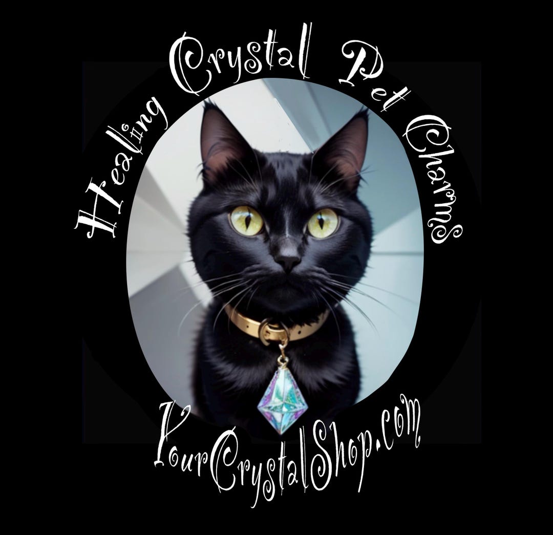 Healing Crystal Pet Charms for Collars - Turquoise, Kunzite, Hiddenite ...