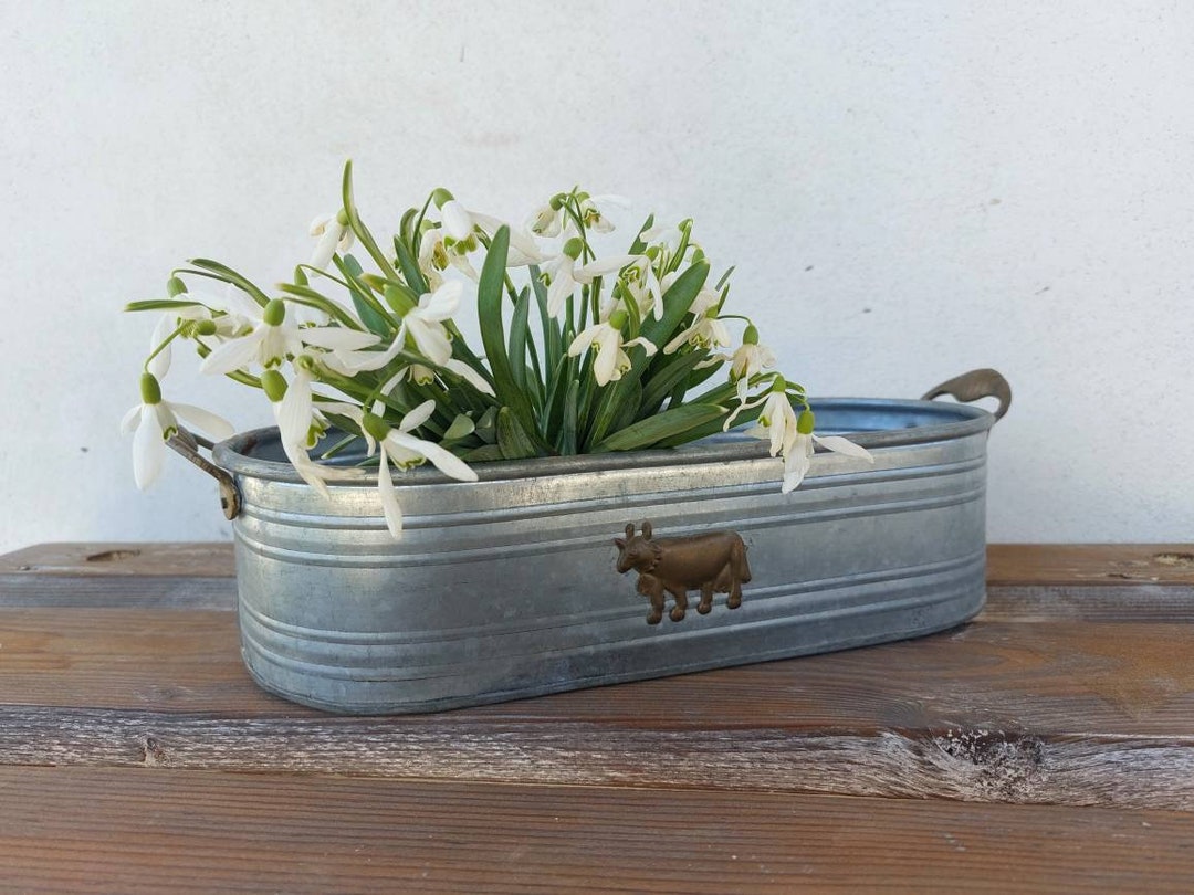 Galvanized Zinc Pot With Brass Handles French Galvanized - Etsy