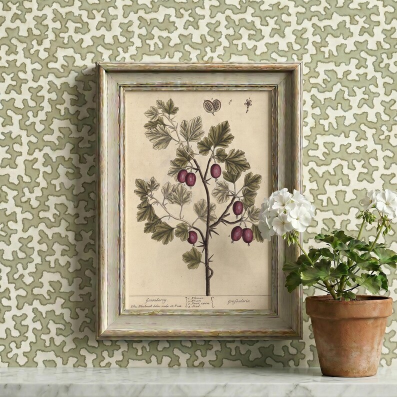 Botanical Print - Printable Art Collection | Classic Floral Art ...