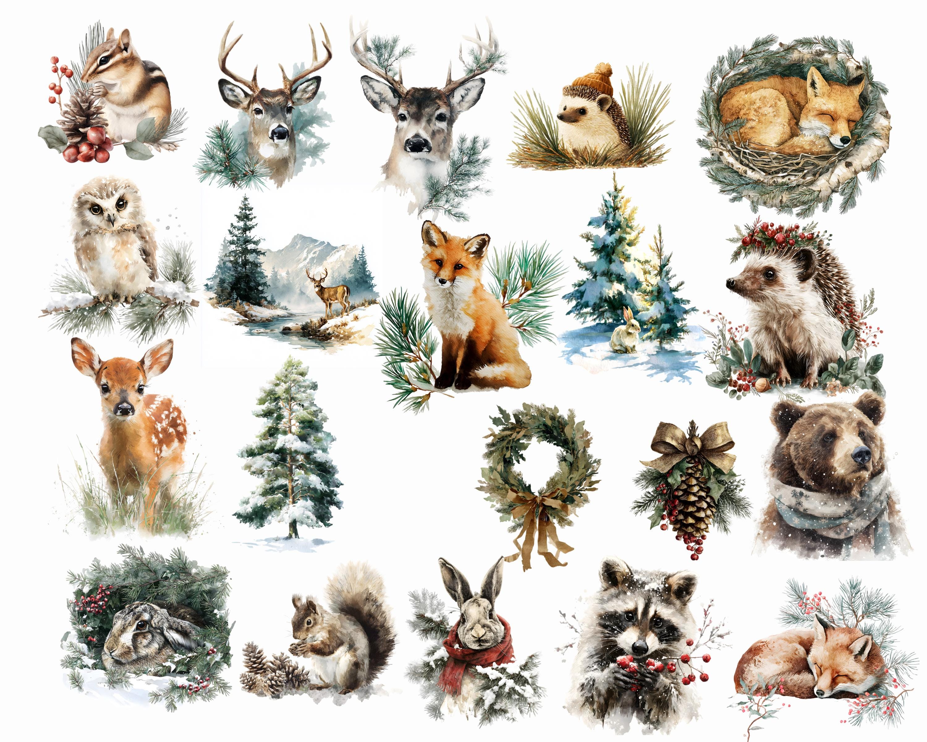 Watercolor Winter Woodland Clipart Set of 20 Pngs With Cute Fox, Bear ...