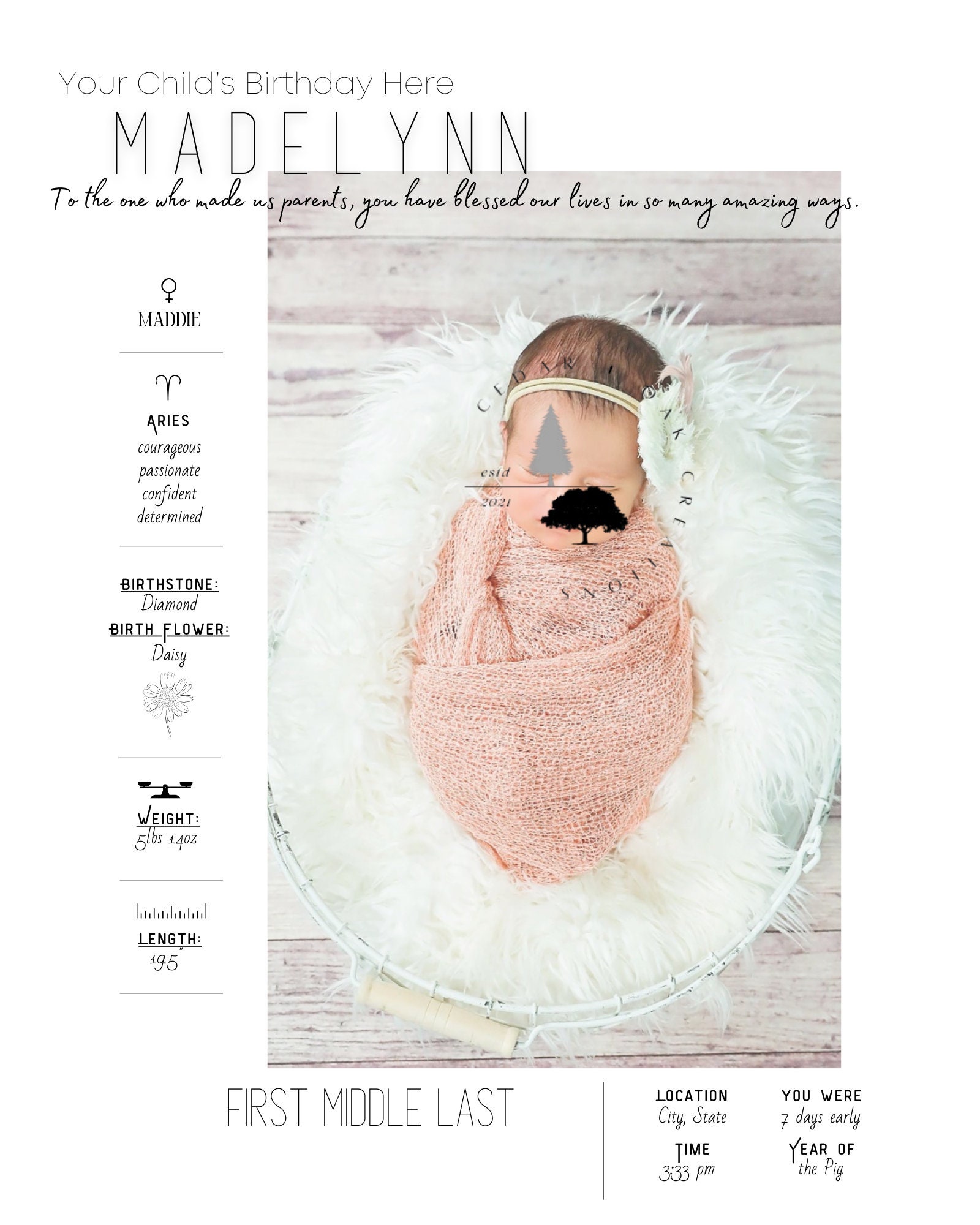 Custom Birth Stat Poster | Birth Picture | Newborn Stats Photo ...