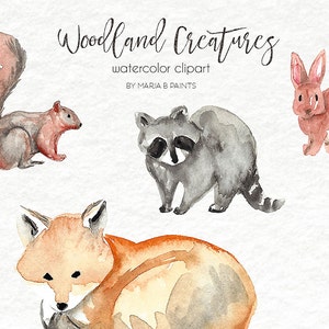 Watercolor Clip Art - Woodland, Forest, Creatures, Animals, Raccoon ...