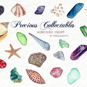 Watercolor Clip Art - Shells, Stones - Crystals - Gems - Sandollar ...