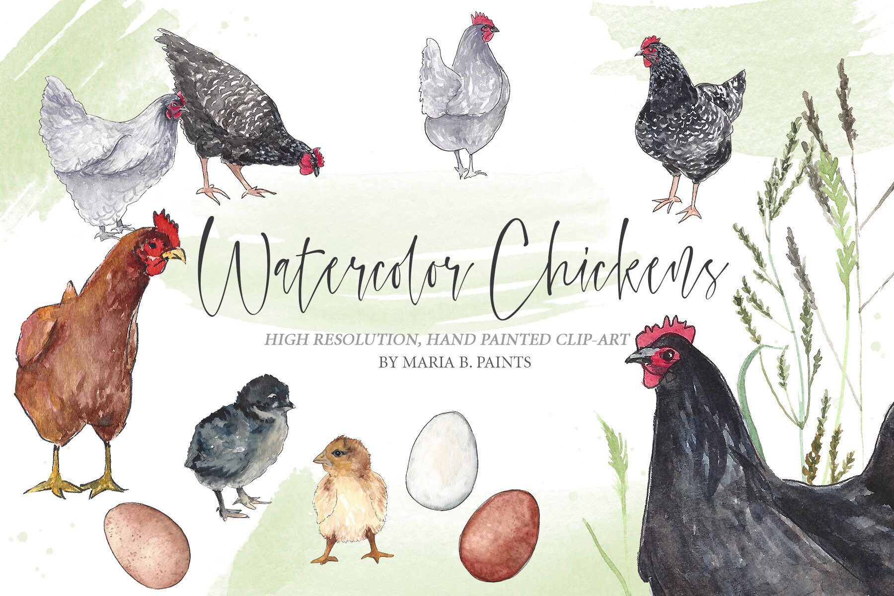 Chicken Watercolor Clipart Set Farm Life Barn Farm Animals | Etsy