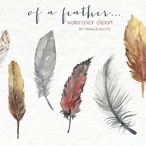 Feather Clip Art - Etsy