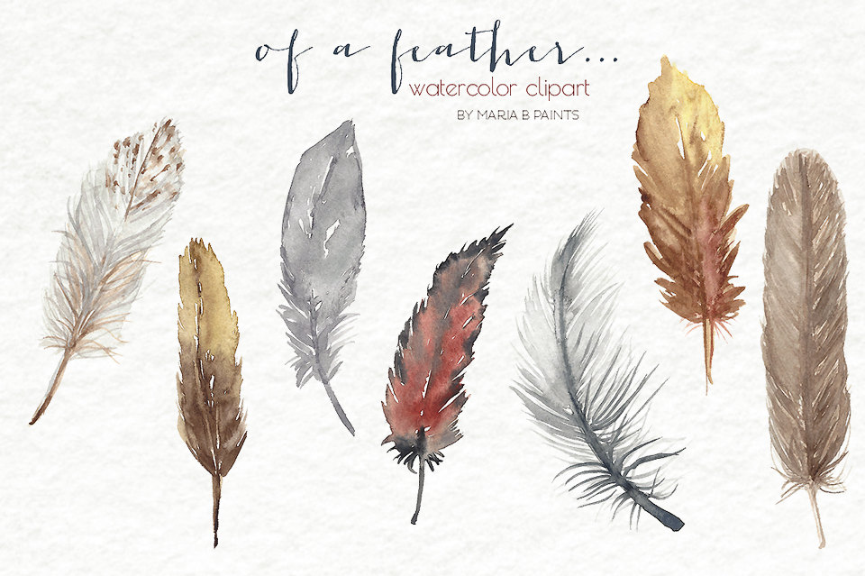 Hand Painted Watercolor Clip Art - Feathers, Personal Use, Instant ...