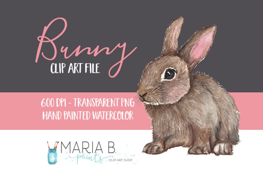 Bunny Rabbit Easter Clipart, Spring Clipart, Forest Clipart - Etsy