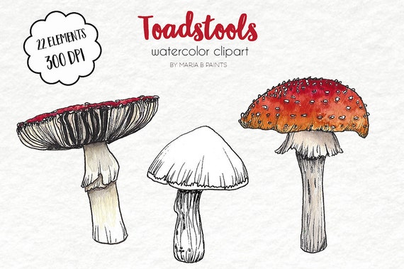 Watercolor Clip Art Toadstool Mushroom Fungus Fungi | Etsy