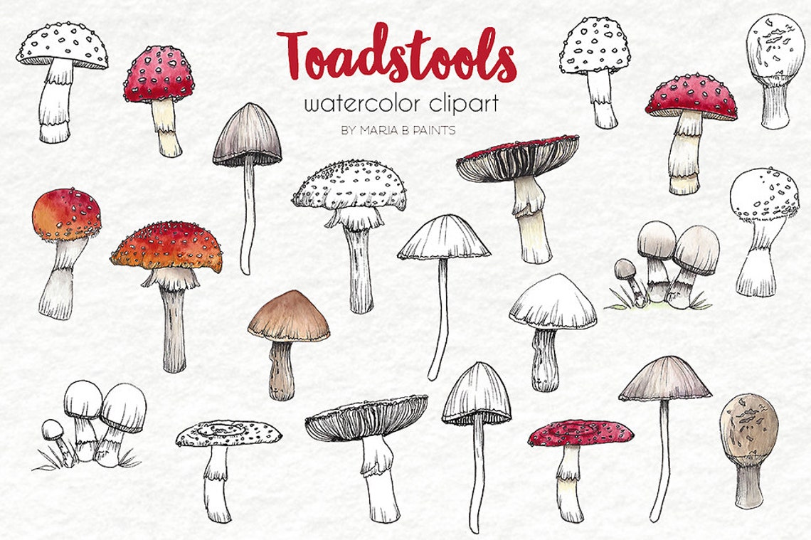 Watercolor Clip Art Toadstool Mushroom Fungus Fungi | Etsy