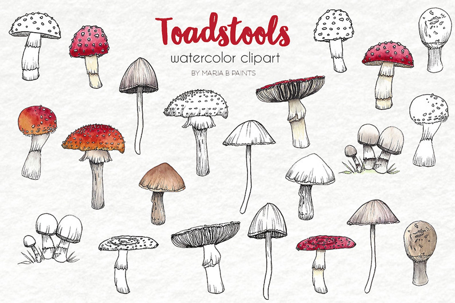 Watercolor Clip Art Toadstool, Mushroom, Fungus, Fungi, Nature, Forage ...
