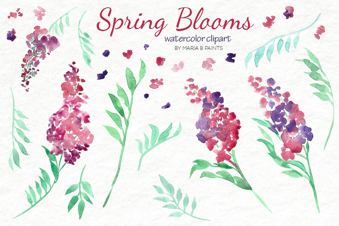 Watercolor Clip Art - Flowers, Blooms, Spring, Leaves, Petals, Floral ...