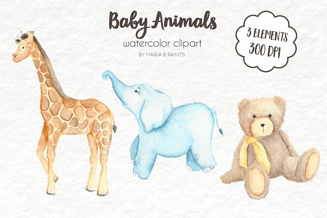 Watercolor Clip Art - Animals, Baby, Giraffe, Elephant, Bear, Zoo ...